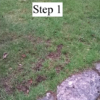 How do I create a stepping stone pathway across grass - The Japanese ...