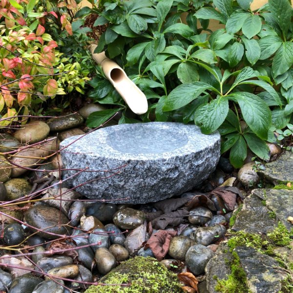 Iwa Bachi - The Japanese Garden Centre