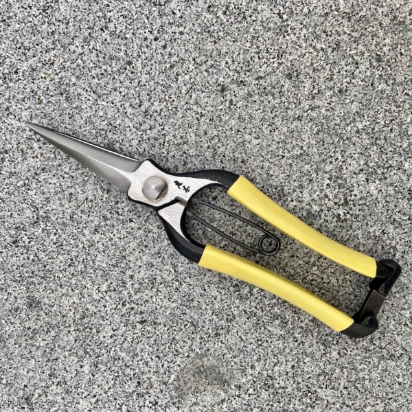 Japanese Pro Snips - The Japanese Garden Centre