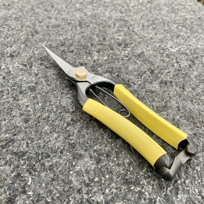 Japanese Pro Snips - The Japanese Garden Centre